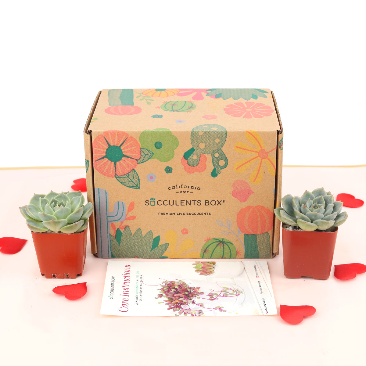 Gift 2 succulent/ month - 6 month Subscription - 1 time charge ...