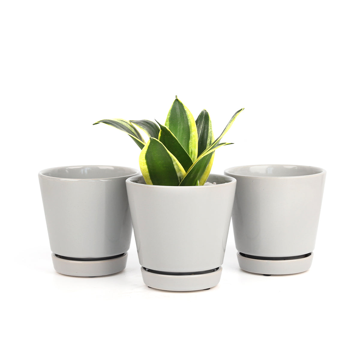 Pack of 3, 4 inch Gray Ceramic Pots with a Drainage Hole & Attached ...