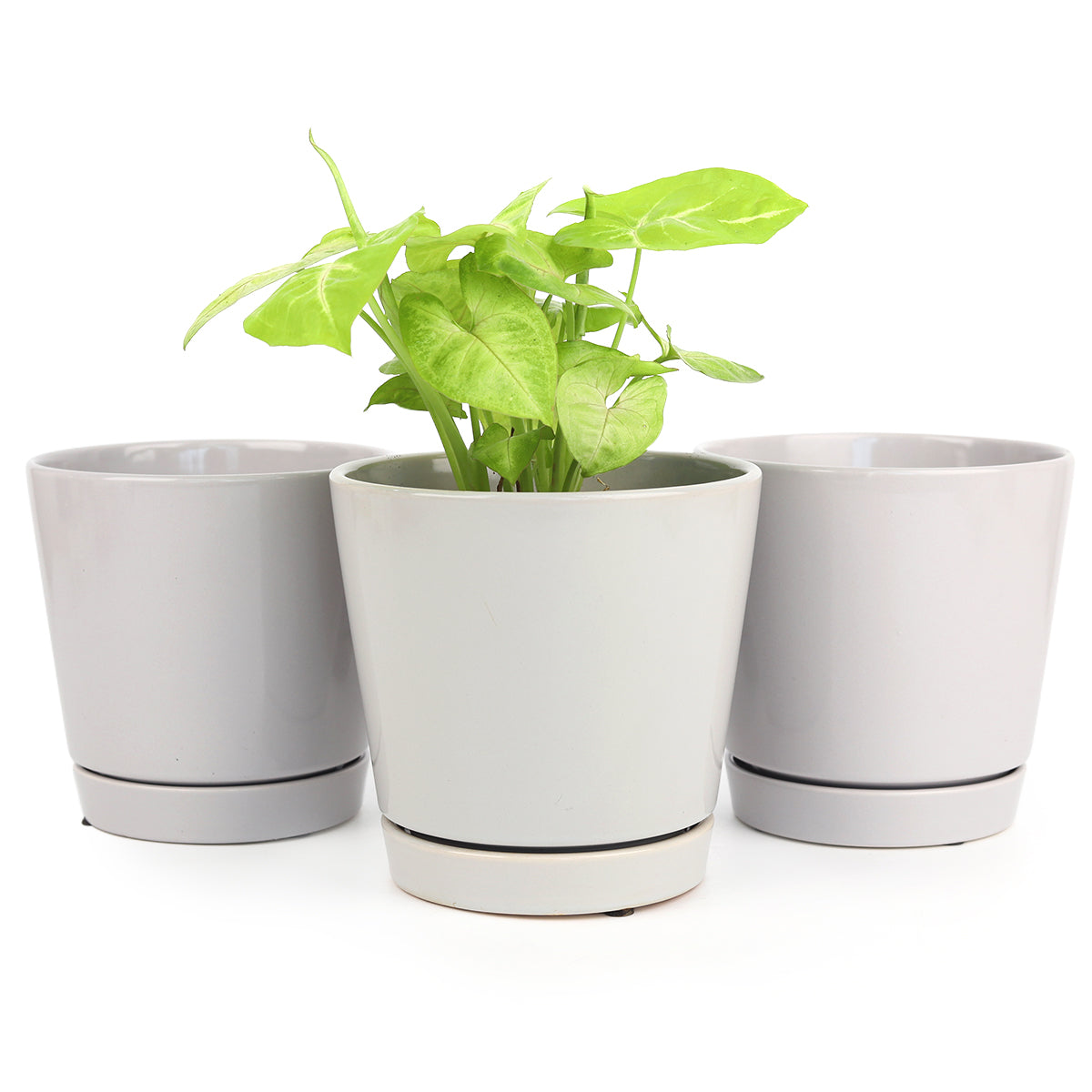 Pack of 3 x 6" Gray Minimalist Pots with Saucer - Indoor Plant Pot ...
