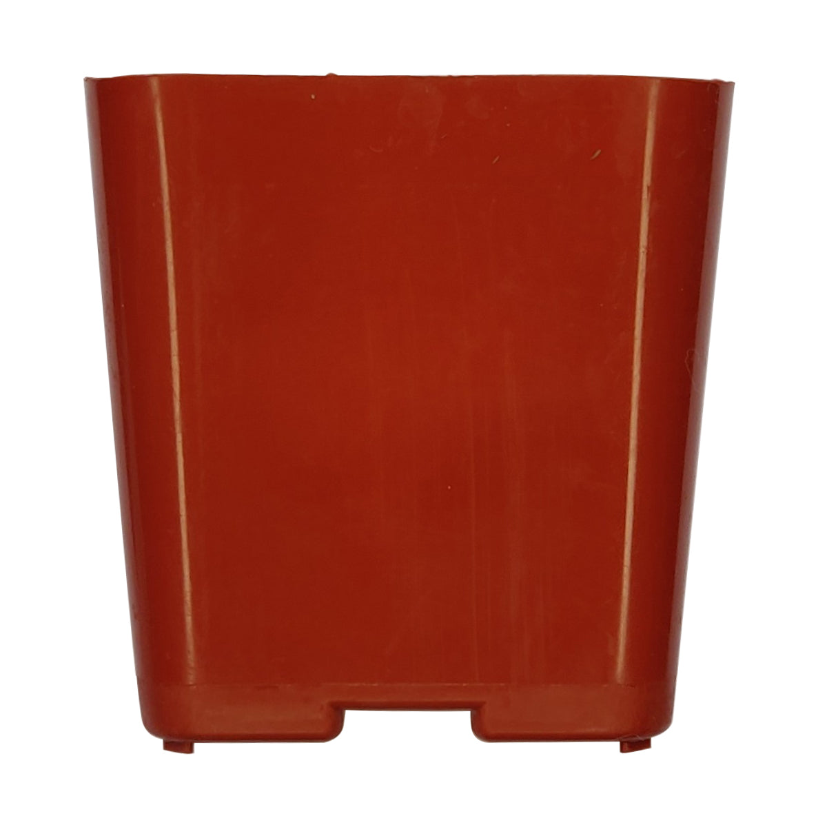 2 Inch Square Plastic Pots | Nursery pot | Starter Pots for Seedlings ...