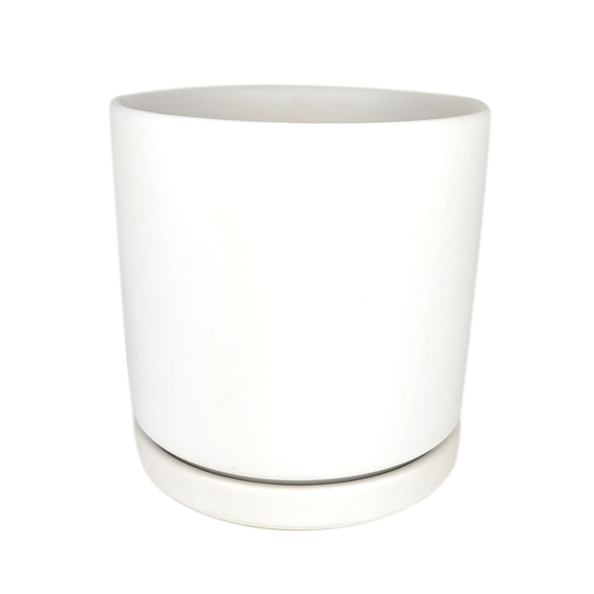 White Porcelain Cylinder Pot with Saucer | Decor for Home and Office ...