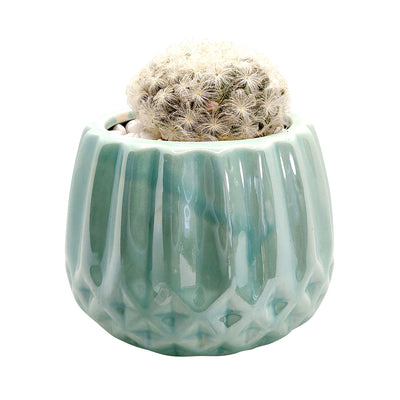 Blue Modern Geometric Pot | Succulent Pot for sale | Succulent Gifts ...