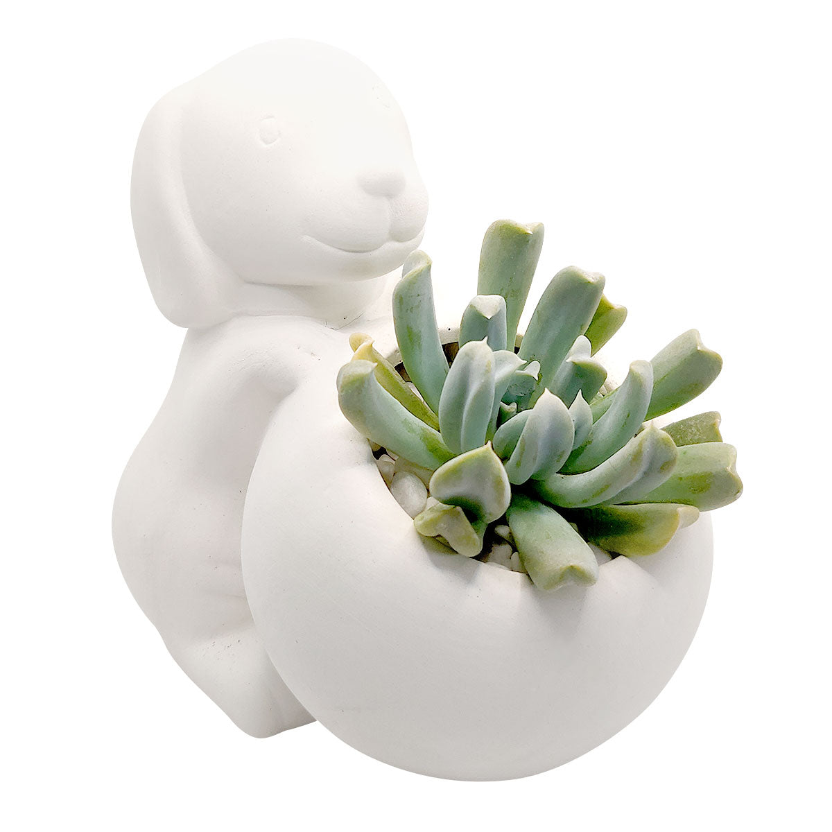DIY White Ceramic Puppy Succulent Pot | Little Dog Succulent Planter ...