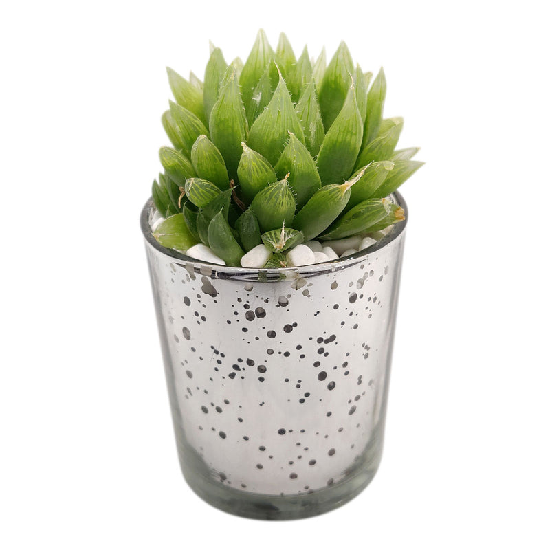 Silver Sparkly Pot | Succulent Pot for sale | Succulent Accessories ...